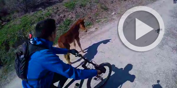 En vidéo : Quand les Mountain Bikers traversent le Parc Ennahli